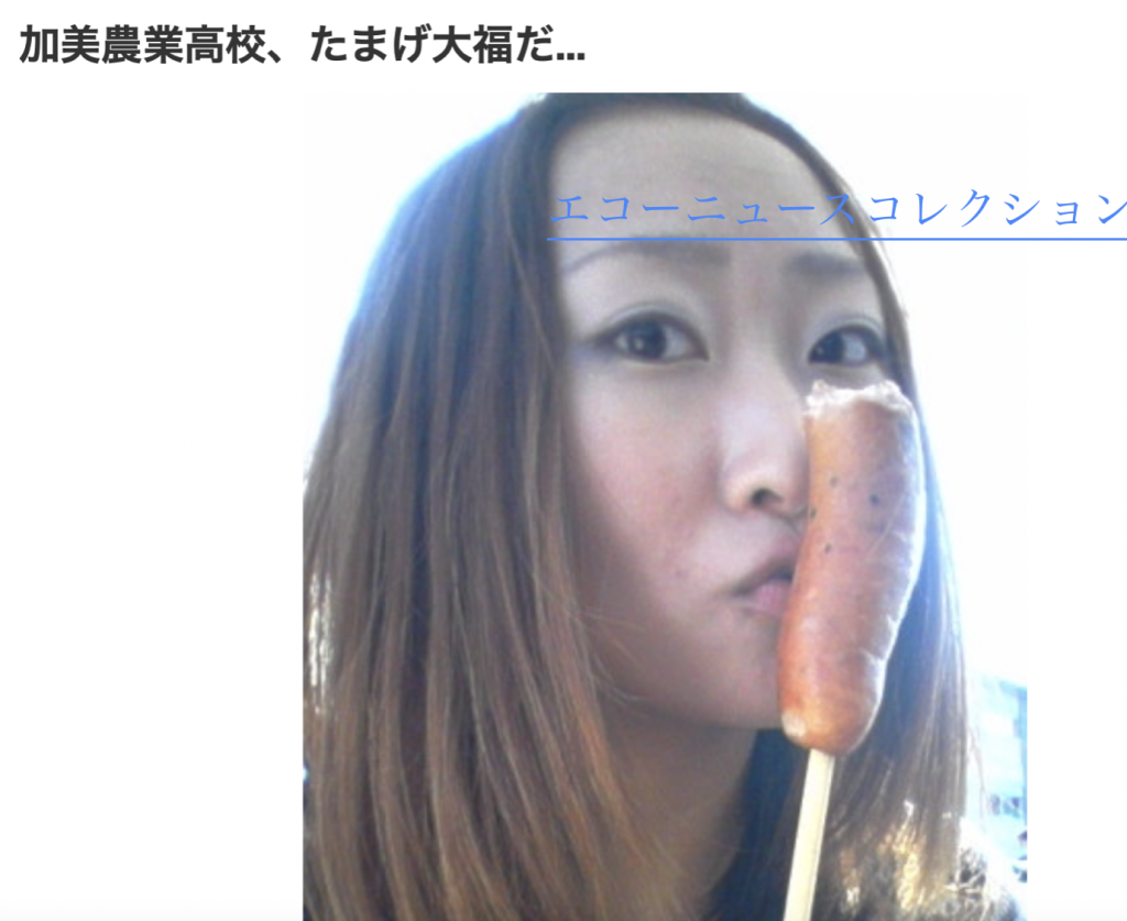 エコーニュースR – 一般社団法人Colaboの分析（12）仁藤夢乃氏の削除したツイッターアカウントと投稿内容で見るコラボ・・AKBを踊りアニメファンで下ネタ好きの意外な素顔