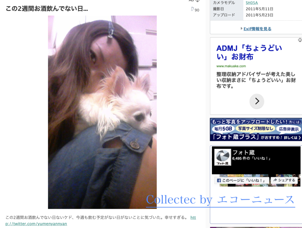 エコーニュースR – 一般社団法人Colaboの分析（12）仁藤夢乃氏の削除したツイッターアカウントと投稿内容で見るコラボ・・AKBを踊りアニメファンで下ネタ好きの意外な素顔